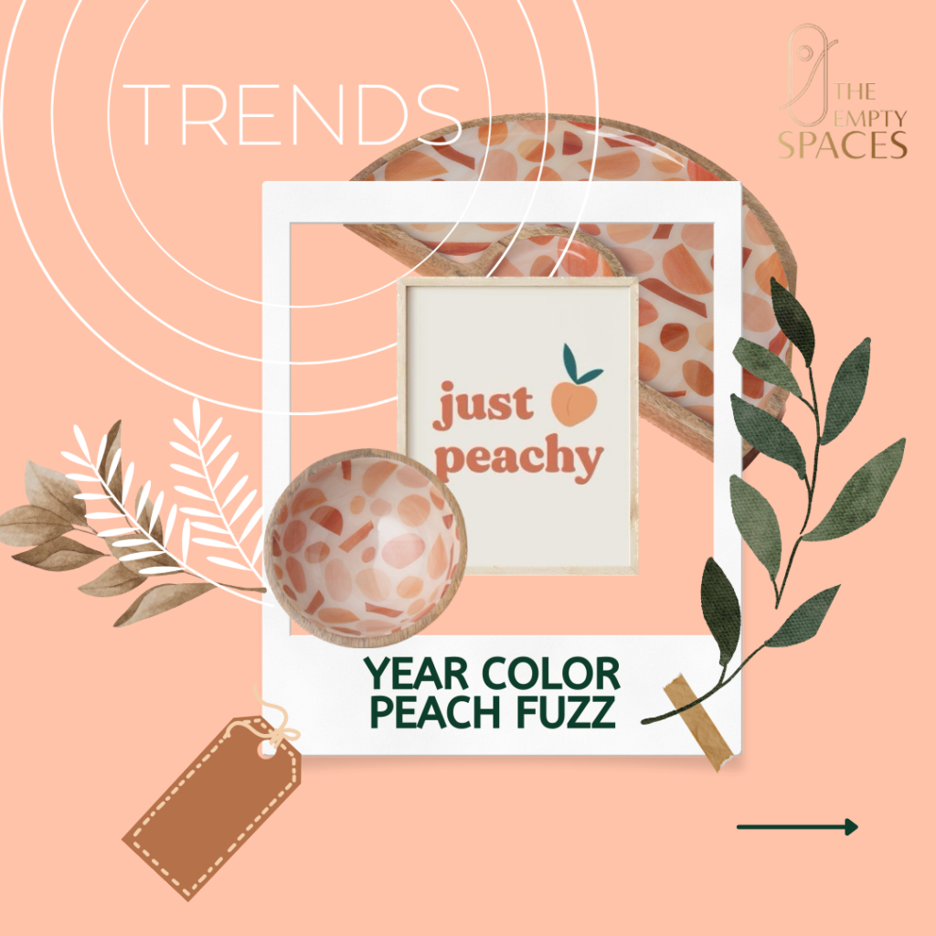 Peach Fuzz : Embracing the Color Trend in Serveware - The Empty Space